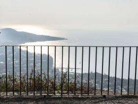 Parthenope - Official Site | Palace Films